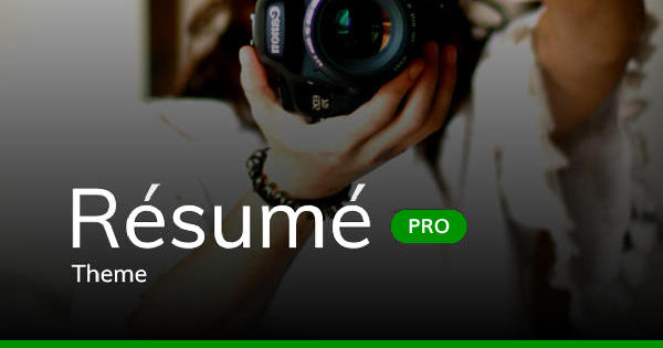 theme Résumé Pro :: demo - Professional theme for your website